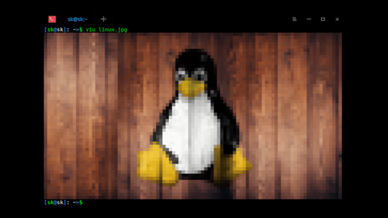 3 CLI Image Viewers To Display Images In The Terminal - OSTechNix