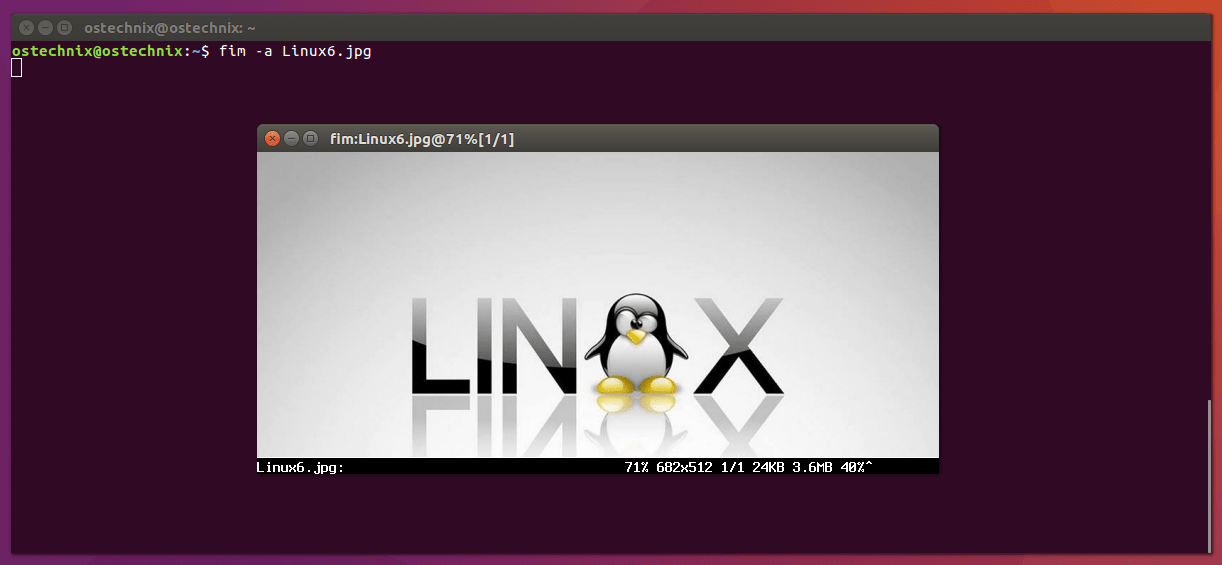 How To Display Images In The Terminal - OSTechNix